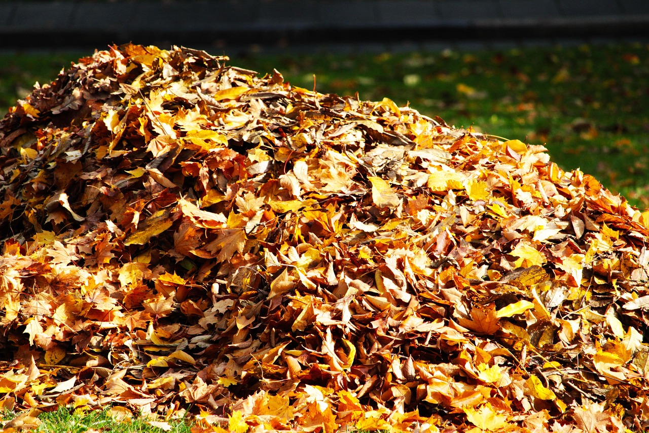 Rochelle to Begin Leaf Vacuuming for Residents on October 20th - 102.3 ...